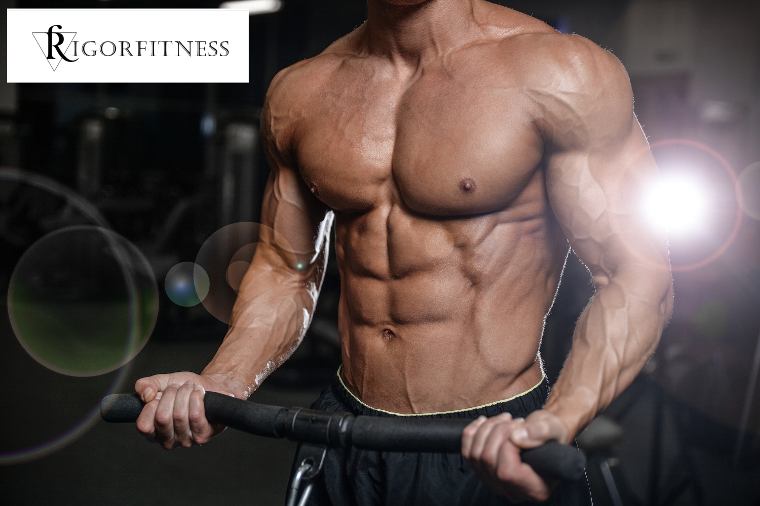 How To Gain Muscle - Rigor Fitness: Fat Loss, Muscle Gain, Strength Gain
